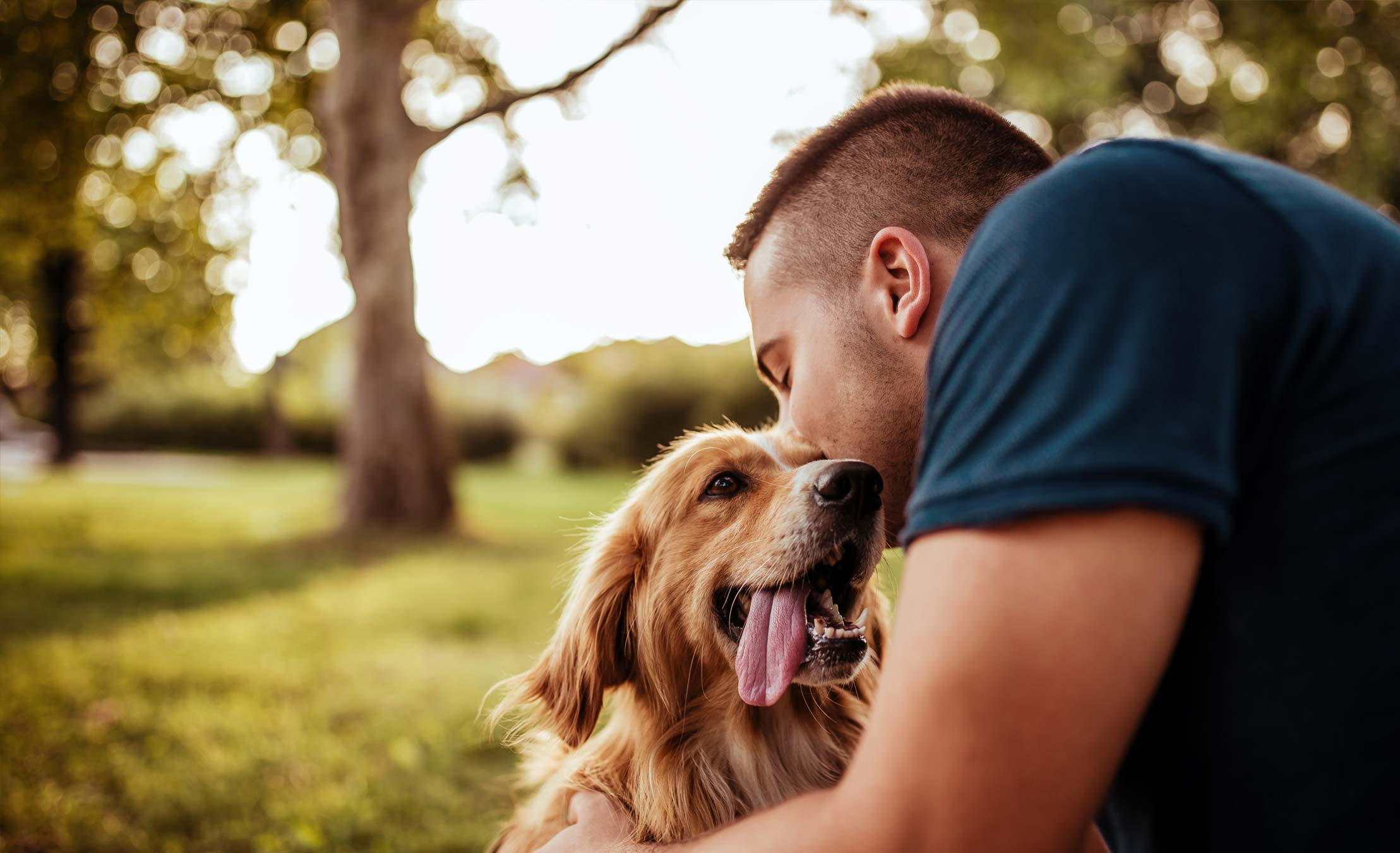 Morayfield – Brisbane’s Northside - HB Land